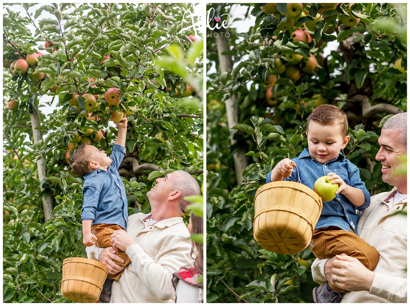 Fall Family Photos // Boston Area Family Photographer, Allie.Photo